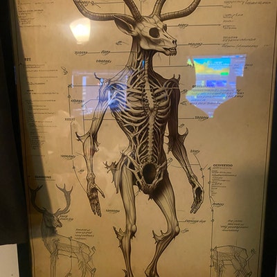Vintage Wendigo Anatomy Diagram Goth Decor, Home Decor, Art Poster ...