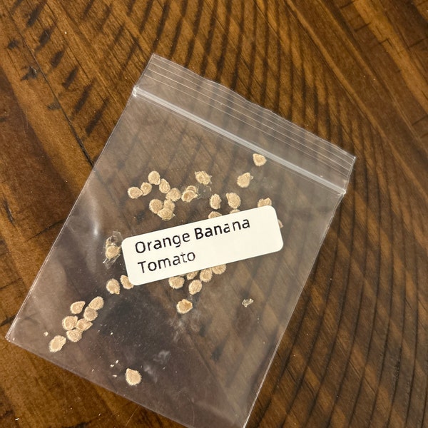 20 Seeds Common Barberry Bush - Berberis Vulgaris - Edible Berries - Etsy