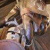 NCR Ranger Veteran Arm Armor + Leather Gloves - Etsy