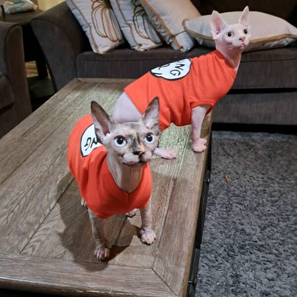 Matching Cat Tank Tops Funny Matching Cat Shirts, Matching Cat Outfit ...