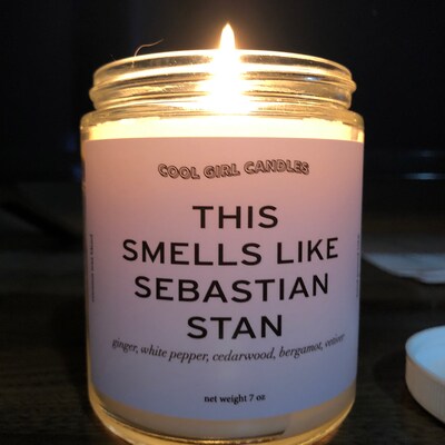 This Smells Like Sebastian Stan Candle Pop Culture Candles Celebrity ...