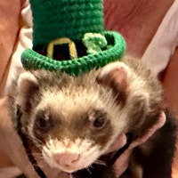 Wizard Ferretсhristmas for the Ferret Gift for Ferret Owner - Etsy Canada