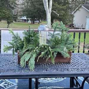 Juniper Fresh Cut Oregon Juniper Box Christmas Wedding - Etsy