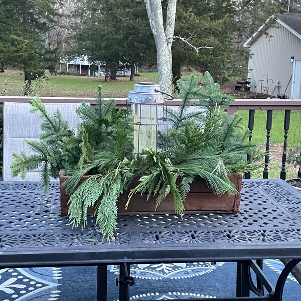 Assorted Fresh Greenery | DIY Wedding & Event Kit | Mix of Eucalyptus ...