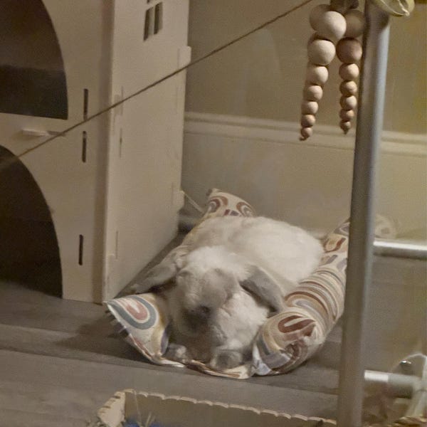 Bunny Snug Bed - Etsy