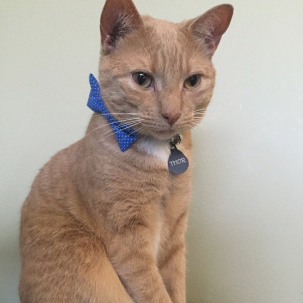 Blue Cat Bow Tie Collar - White Mini Dot Bowtie - With Breakaway Buckle ...