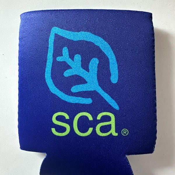 Full Color Plastic Photo ID Badges & PVC Cards - Both Side Printed ...