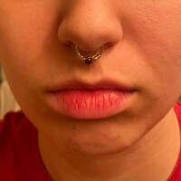 16g 18g 20g 22g Natural Garnet 2-3mm Bead Septum Piercing Gold Septum ...