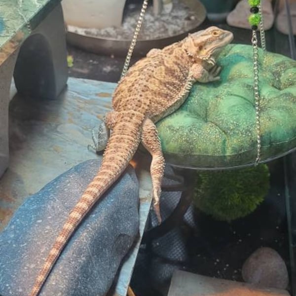 Bearded Dragon Lizard Pillow Swing: Multiple Sizes & Fabric Colors ...