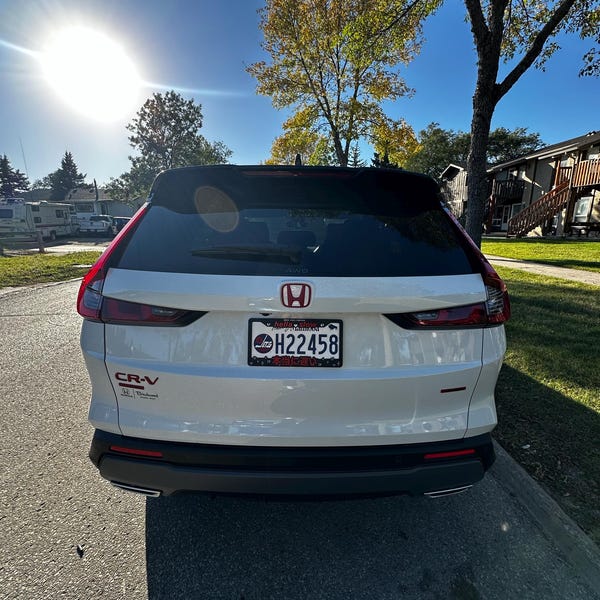 MF Ghost Kanata Rivington 86 License Plate - Etsy