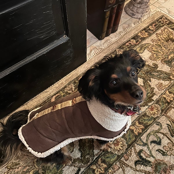 University of Michigan Dog Coat - Etsy