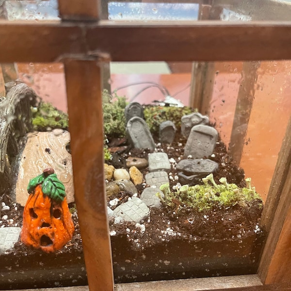 Tiny Mini Walkway Stepping Stones Pathway Cement Potted Plant Terrarium ...