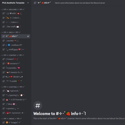 Purple Aesthetic Streamer & Content Creator Discord Server Template ...