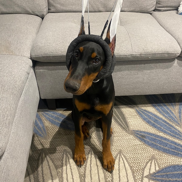 Doberman Ear Posting Brace - Etsy