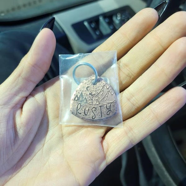 Space Themed Dog Tag, Dog Tags for Dogs, the Galactic Explorer ...