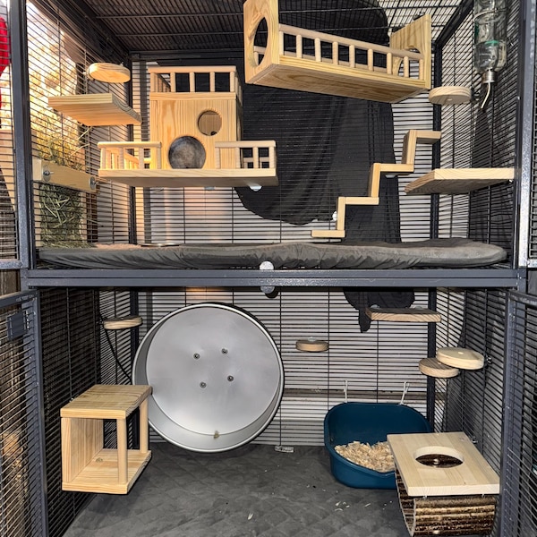 Crazy Critter 11 Pc Kiln Dried Pine Chinchilla//rat//degu//squirrel ...