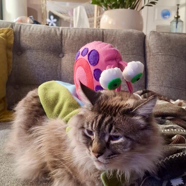 The Peanuts, Snoopy Dog Outfit, Red Baron Snoopy Dog Costume, Red Baron ...