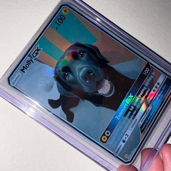 Homer Simpson ID Card Novelty Fake Replica Plastic Card Prop Funny Gift ...