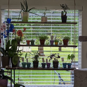 Window Plant Shelf Hanging Window Shelf 3 Tiered Window - Etsy