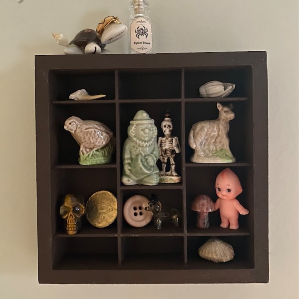 Wooden Curiosity Cabinet Printer Tray Letterbox Display, Rock Display ...