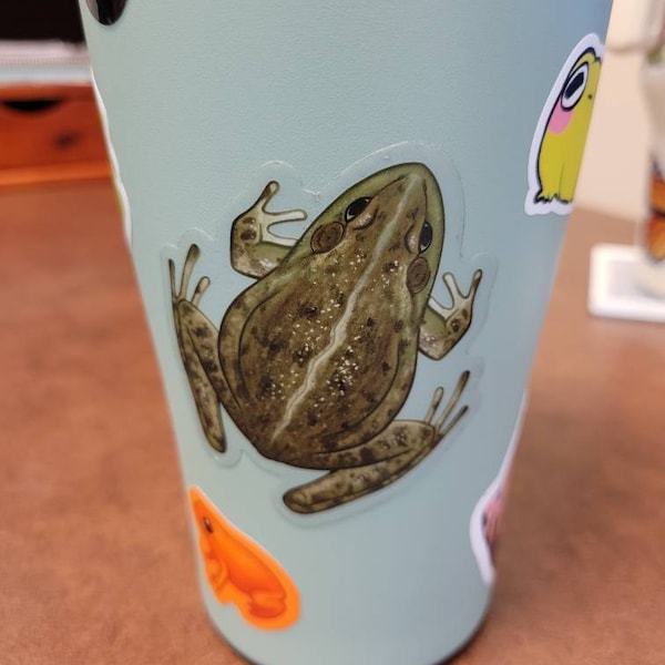 Red-eyed Tree Frog Clear Vinyl Sticker 3 X 1.68 Inches Transparent ...