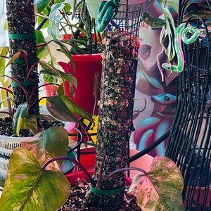 1 Snake Sculpture, or Bookcase Snake, or Planter Snake, or Table Top ...