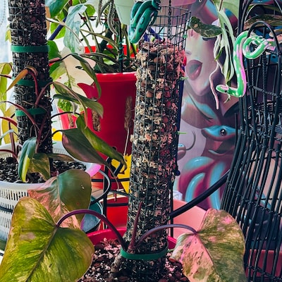 1 Snake Sculpture, or Bookcase Snake, or Planter Snake, or Table Top ...