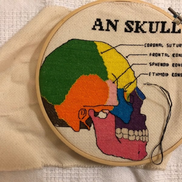 Human Skull Anatomy Cross Stitch PATTERN - Etsy