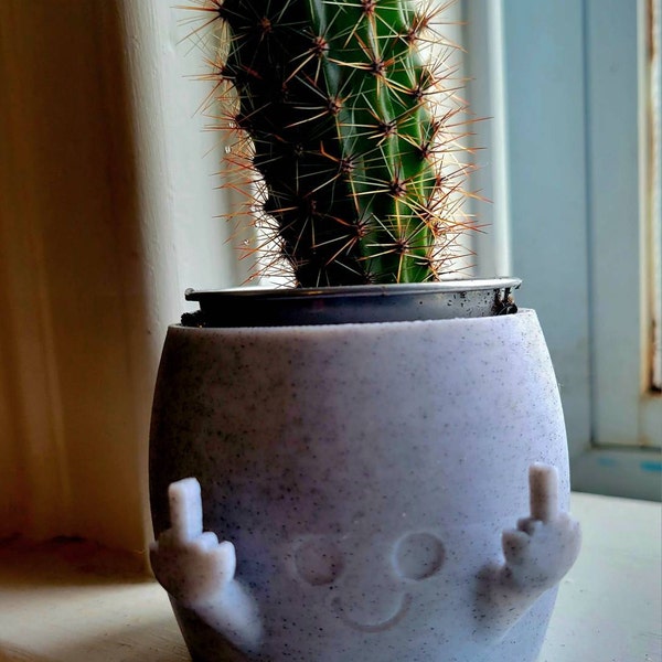 Middle Finger Happy Planter in ALL Colors! Kawaii Planter, Planter With ...