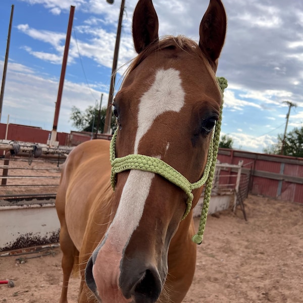 4-knot Rope Halter Only - Assorted Colors - Newborn/foal/mini/yearling ...