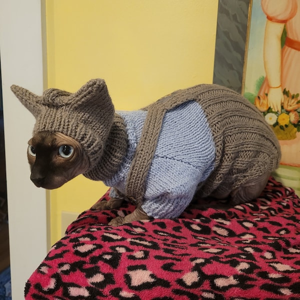 Sphynx Cat Sweater and Hat Set Hand Knit Cat Jumpsuit Hairless Cat Jumper and Beanie Set Cat ...