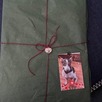 Guided Pet Remembrance Journal - Etsy