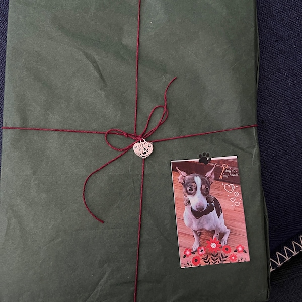 Guided Pet Remembrance Journal - Etsy