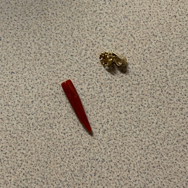 Red Coral Horn Pendant With Silver 925 Perforated Hood, Red Coral, Horn ...