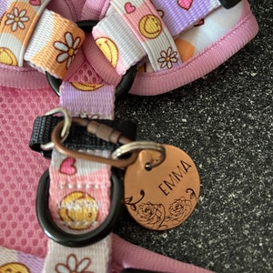 Custom Horse Halter Name Plate Brass Halter Name Tag Custom Equestrian ...