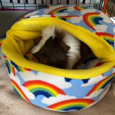 LARGE Piggie Pod Guinea Pig Bed CUSTOM ORDER - Etsy UK