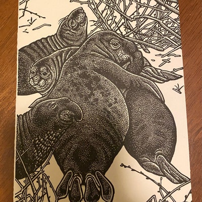 Monterey Cypress Card - Etsy