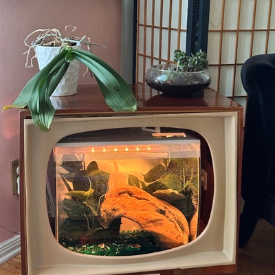 Vintage Tv Aquarium, Upcycling 60s Console Television, Vintage Aquarium ...
