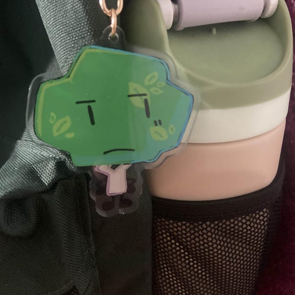 Bfdi Battle for Dream Island Pencil Pouch - Etsy