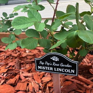 Rose Identification Stakes, Custom Rose Bush Markers, Rose Name Plaque ...