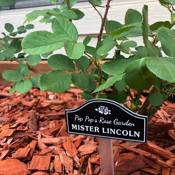 Rose Identification Stakes, Custom Rose Bush Markers, Rose Name Plaque ...