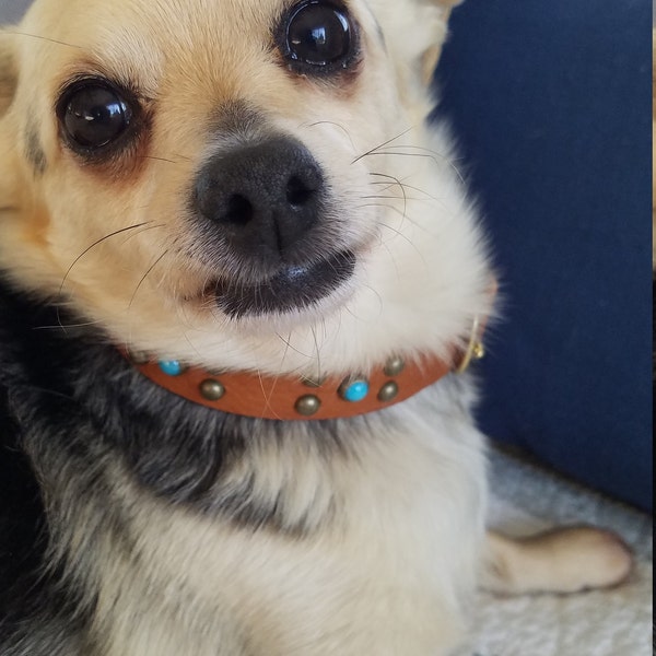 Sundance Shearling Dog Jacket so Boho Chic in Black - Etsy