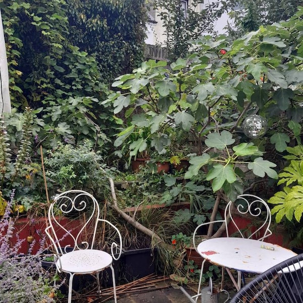 Carved Wooden Word Art Family - Etsy