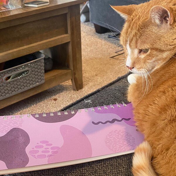 Weekly Planner Notepad Organizer - Tear off Sheets, Scheduler ...