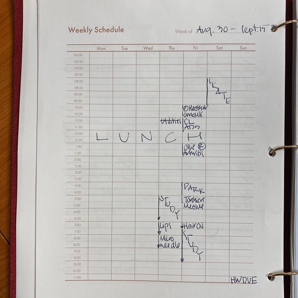 Printable Half Hour Time Blocking Planner, Hourly Weekly Planner ...