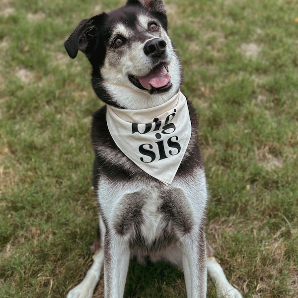 The Big ONE Shirt, Surfer Themed Party, Wave, First Birthday, Bday Boy ...