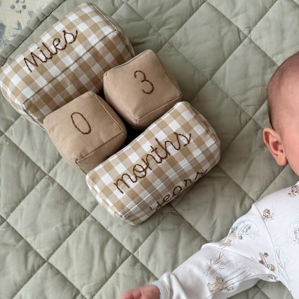 Embroidered Newborn Month Markers Blocks Set - Baby Photo Prop for ...