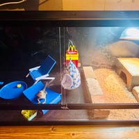 Aquarium Dome Tunnel Fish Tank Gravel Hiding Spot/under-view Area - Etsy