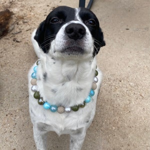 Flamingo Floaty Pool Party Beaded Dog Collar, Collar, Dog Collar, Dog ...