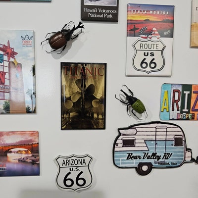 Ladybug, Bug Magnet, Small Size Handmade Clay Magnet Insect Figurine ...